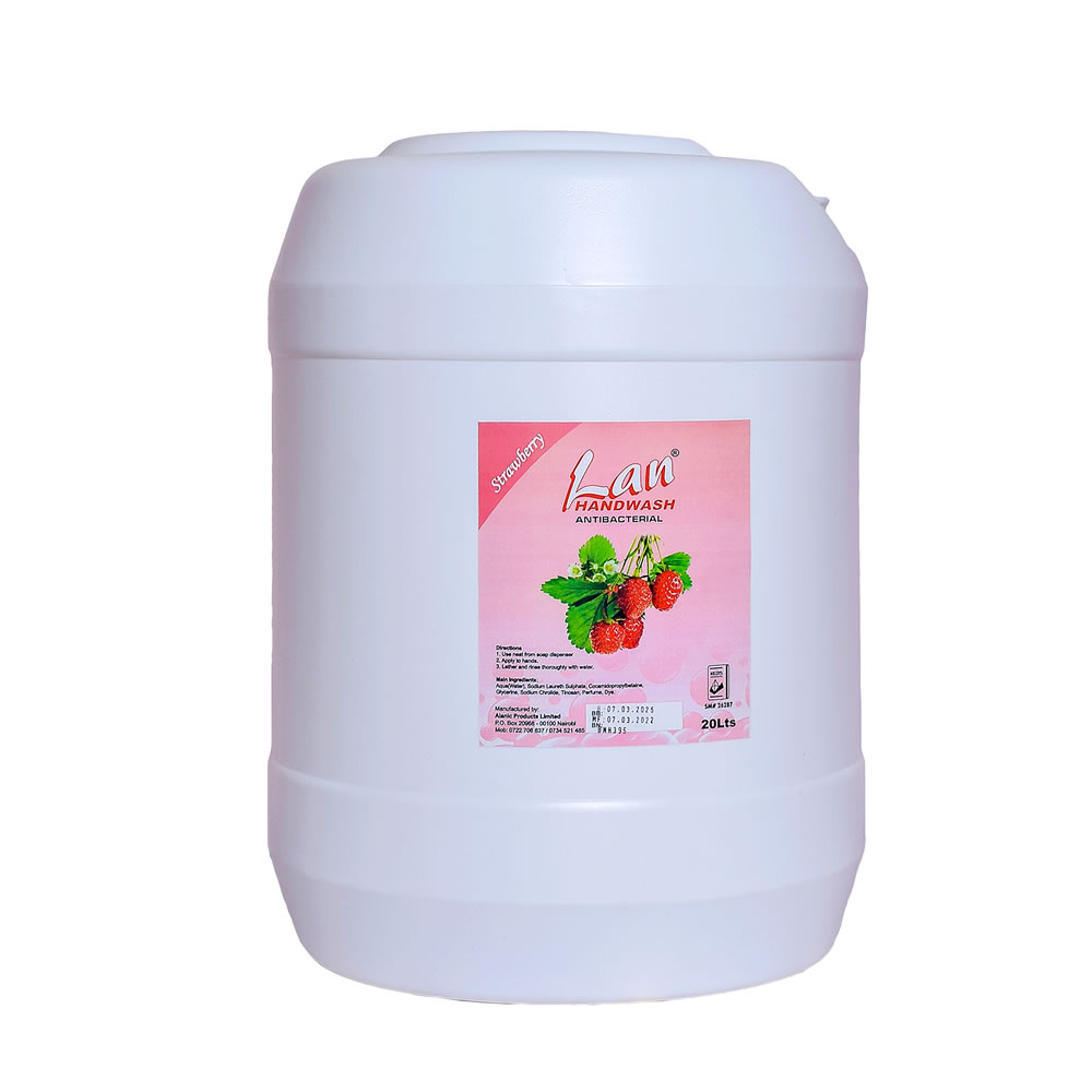 Lan Antibacterial Handwash – LAN Brands